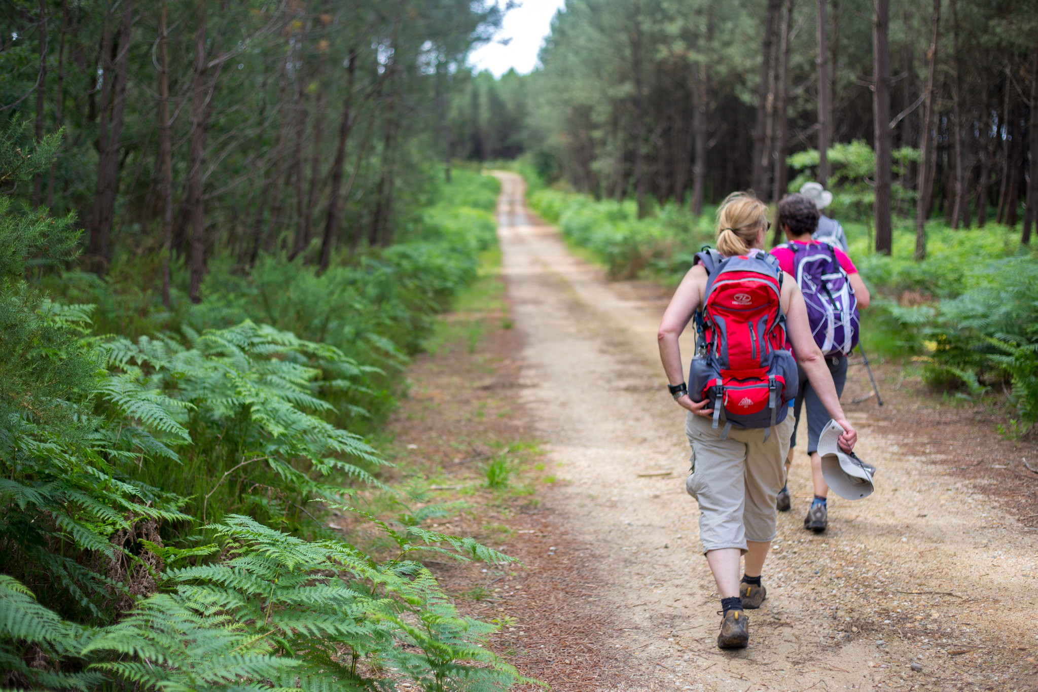 A long hiking trail accessible via tram | Bordeaux Tourism & Conventions