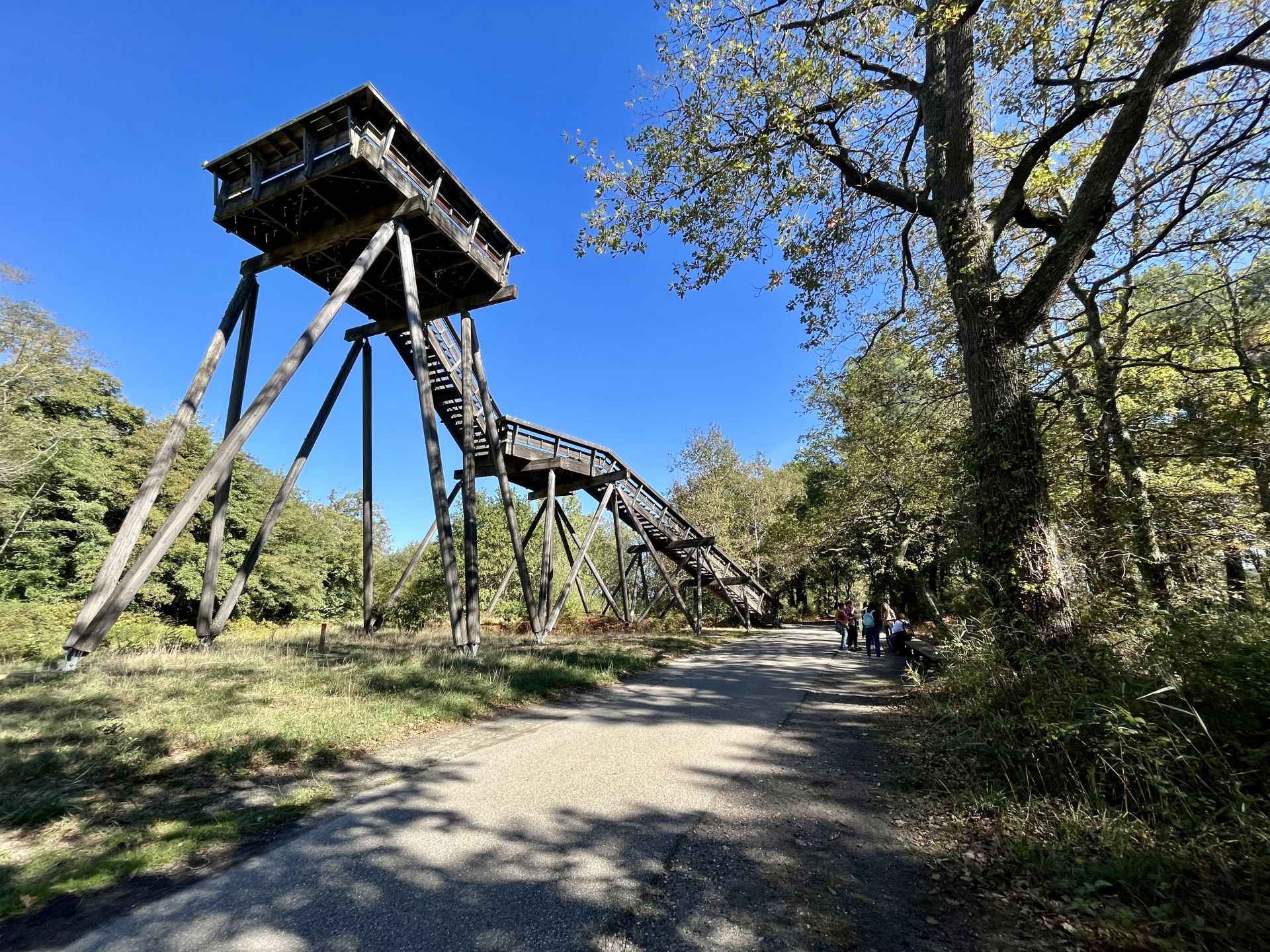 Accessible route : The Bourgailh forest | Bordeaux Tourism & Conventions