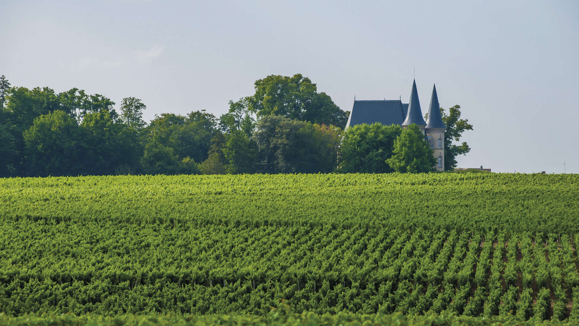 Discovering Bordeaux vineyards : wine tours and excursions
