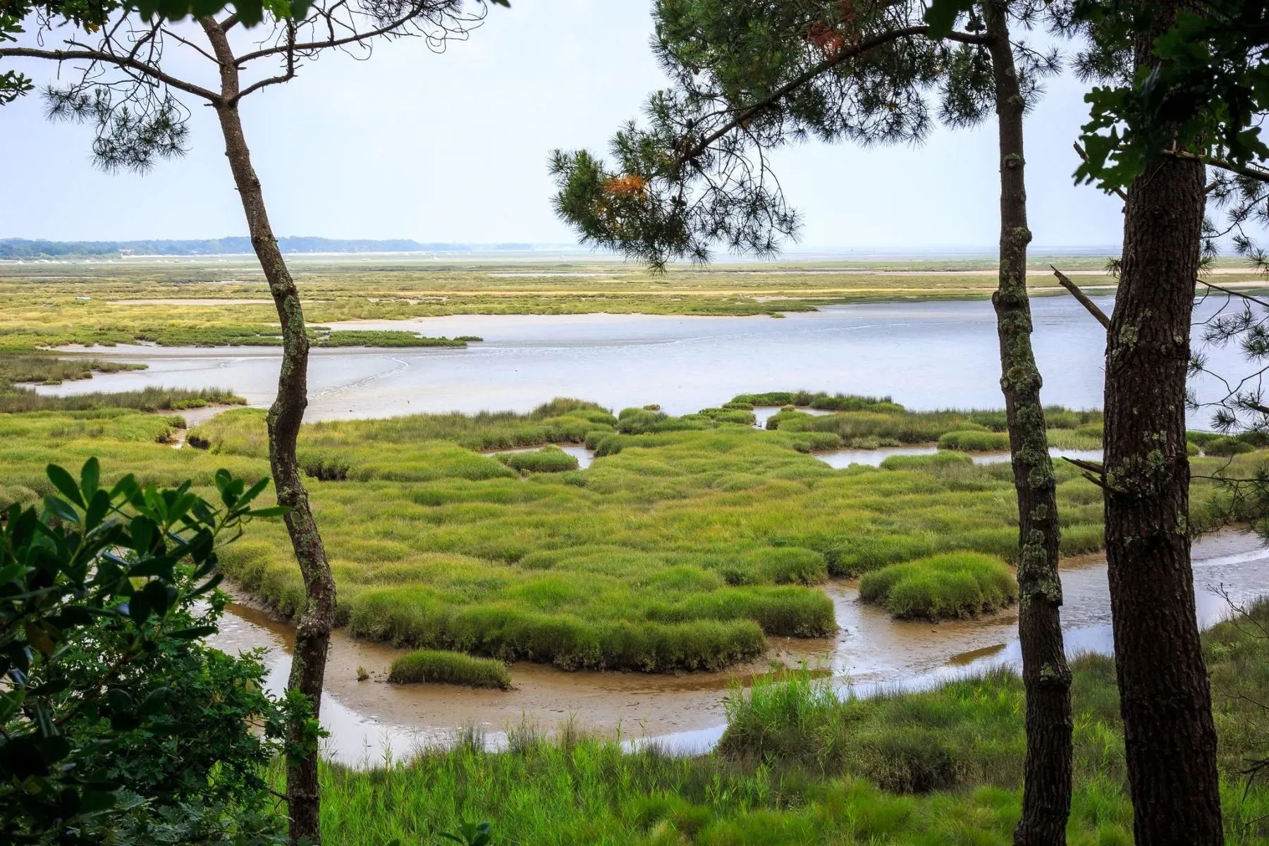 Discover the Arcachon Bay near Bordeaux